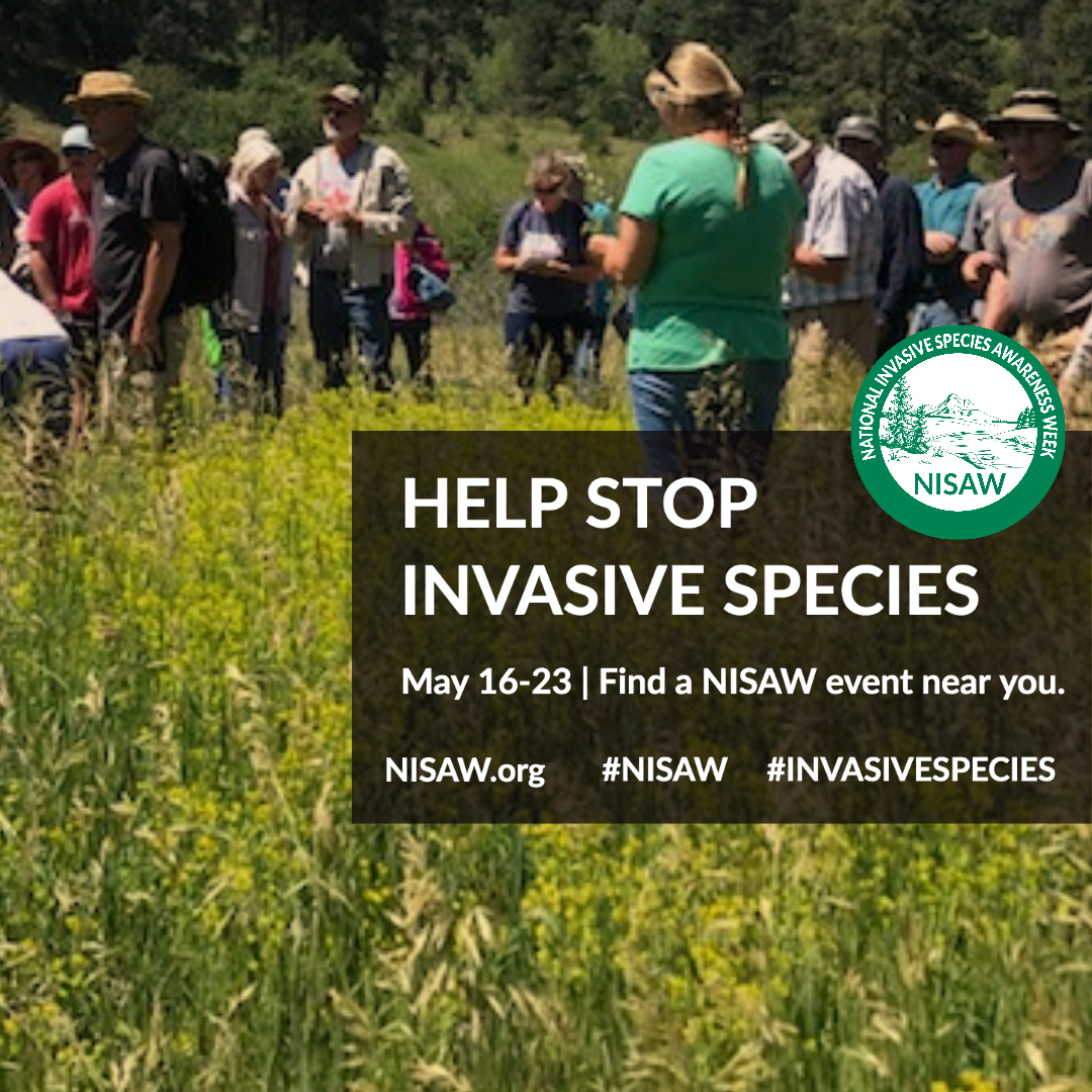 National Invasive Species Awareness Week - NAISMA