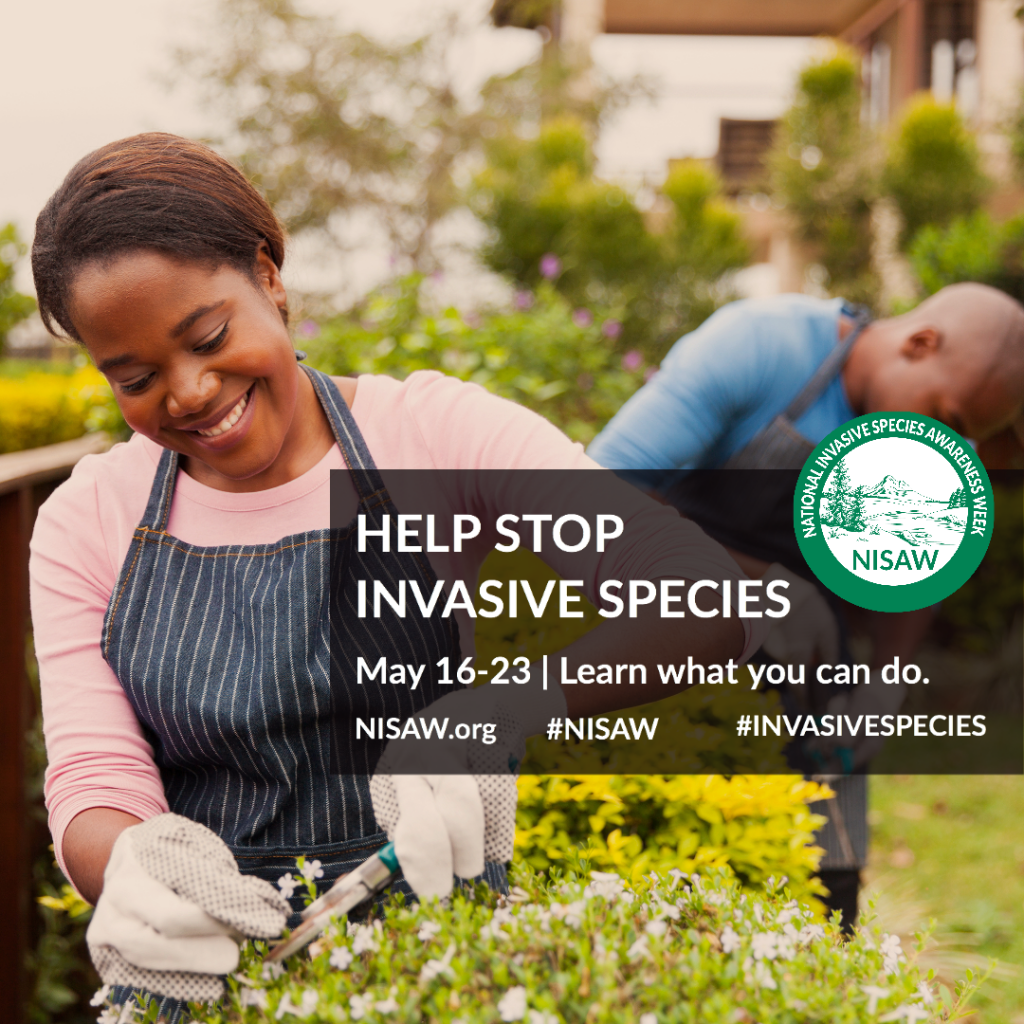 National Invasive Species Awareness Week - NAISMA