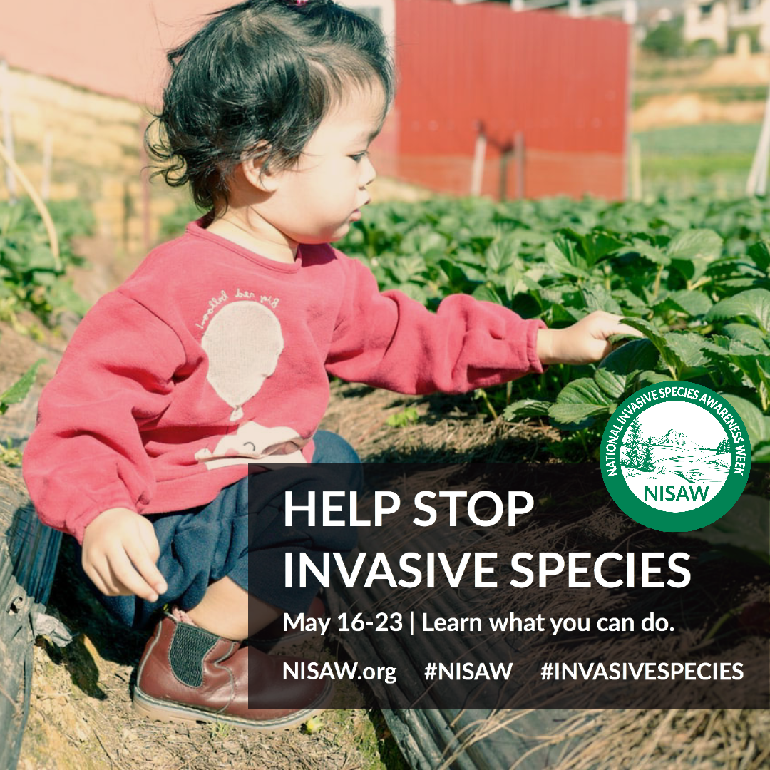 National Invasive Species Awareness Week - NAISMA